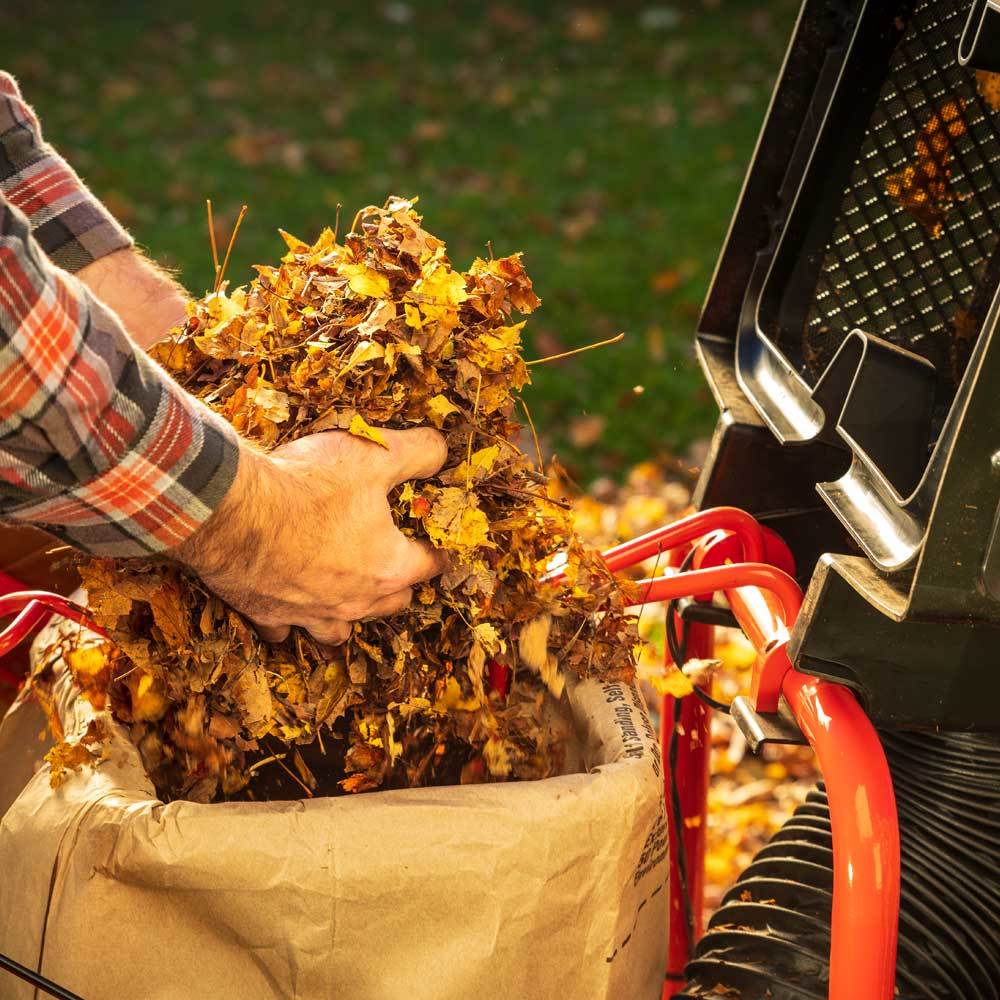 Dr Power PILOT XT Leaf and Lawn Vacuum – Southern Powerworks LLC
